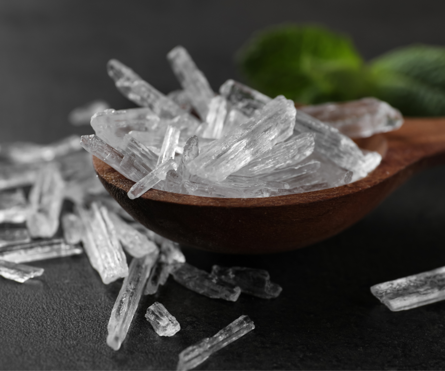 Food Additives Supplier | M&U International